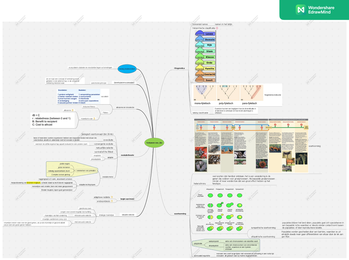 Tentamen 1 evo bio - Mind map met sommige belangrijke begrippen ...