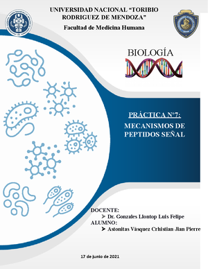 Strn250bul - RNA extraction protocol by Kit spectrum plant total RNA ...