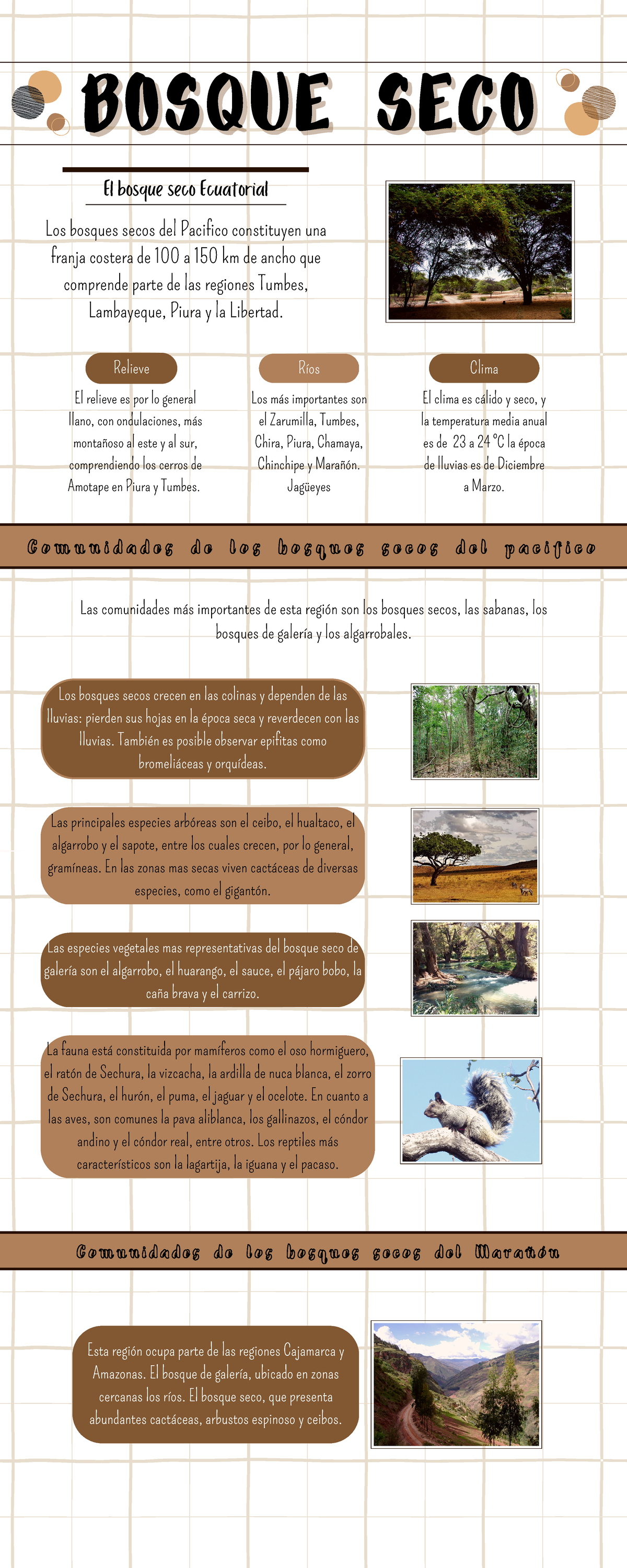 662636109 Infografia Bosque Seco - El bosque seco Ecuatorial Relieve ...