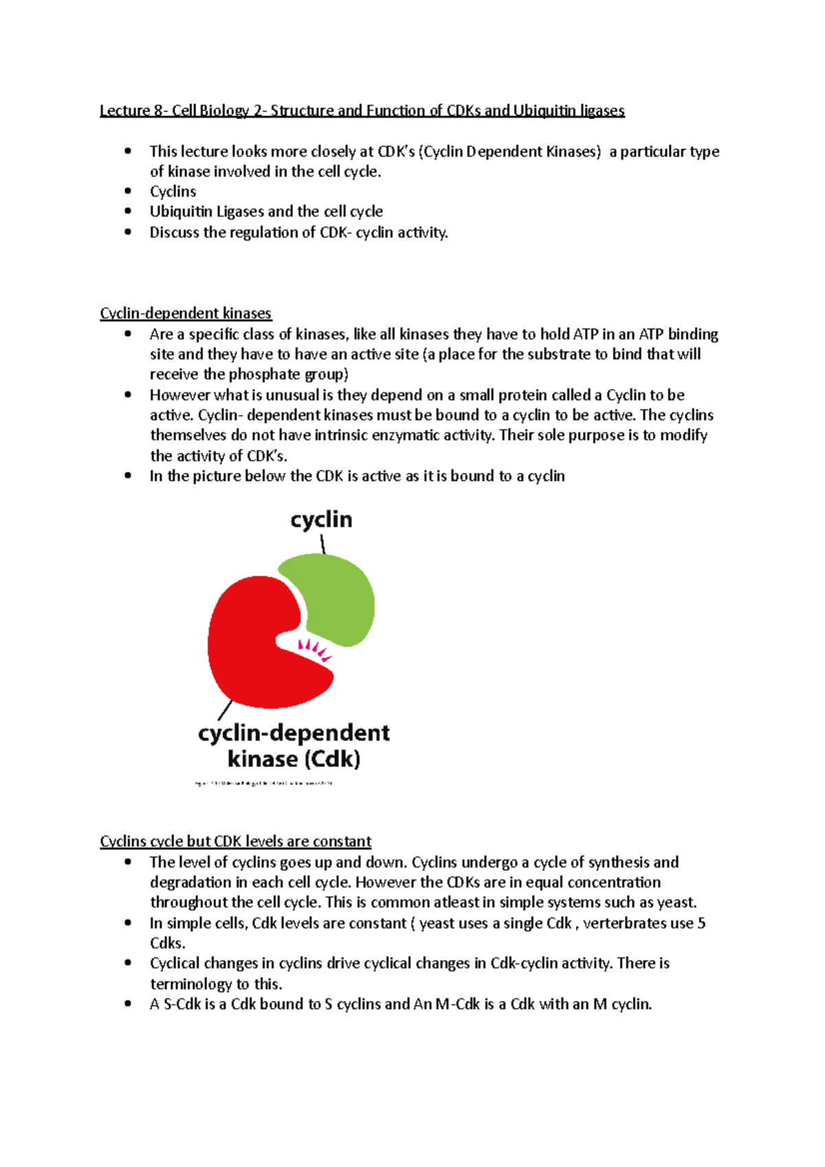 Lecture 8 - Structure and function of CDKs - Lecture 8- Cell Biology 2 ...