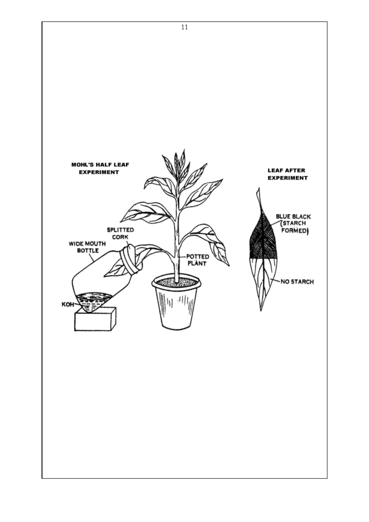 Physiology - Expt 6 - It is practical material - 12 Experiment: 6. MOHL ...