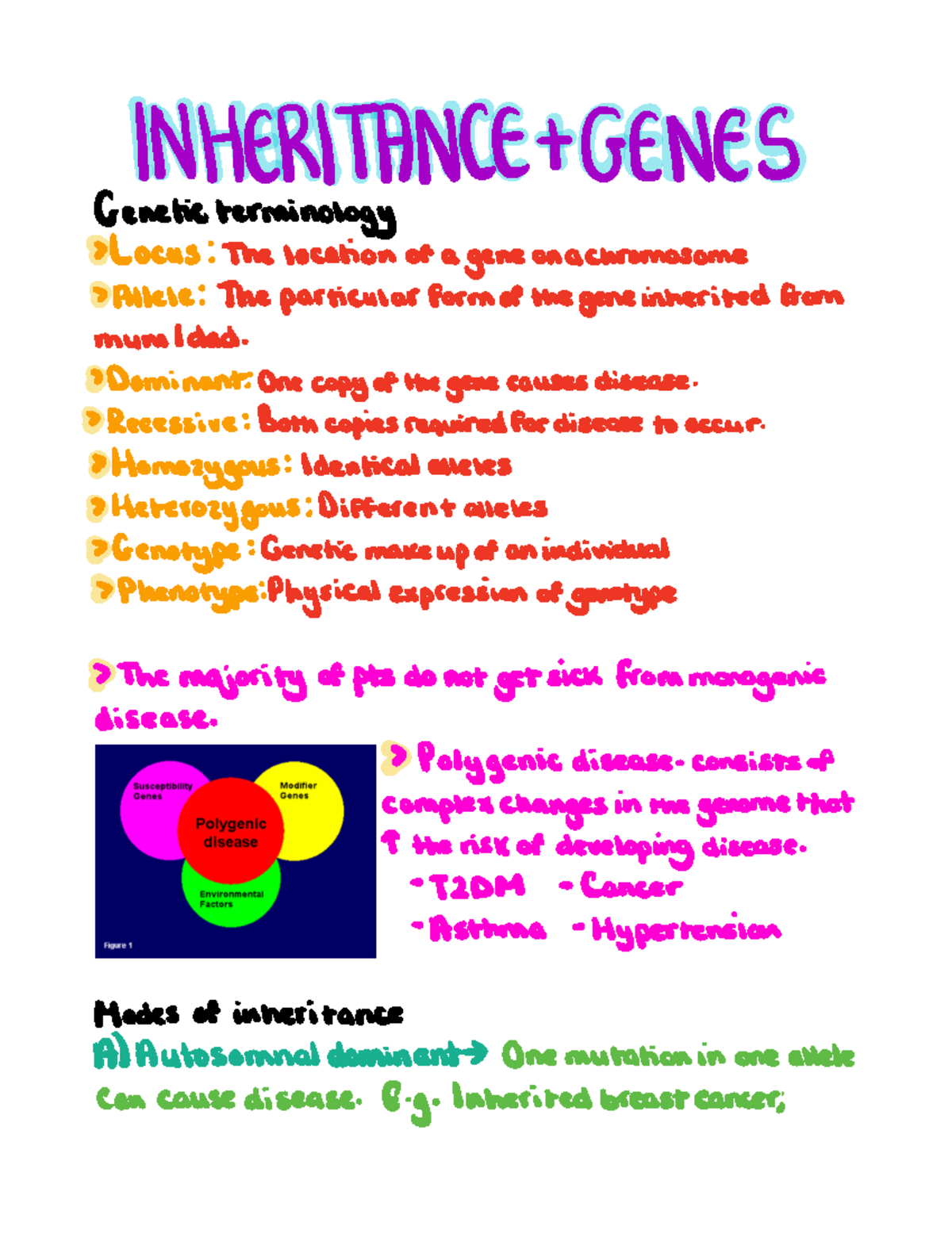 Forms of inheritance and single gene disorders - INHERITANCE GENES ...