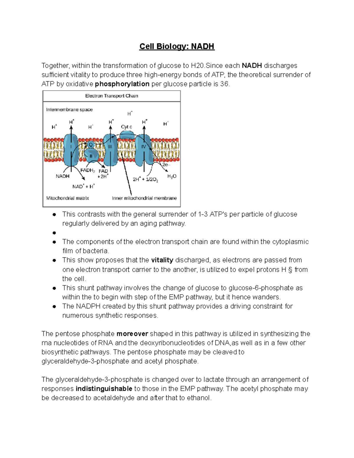 Cell Biology NADH - Cell Biology: NADH Together, within the ...