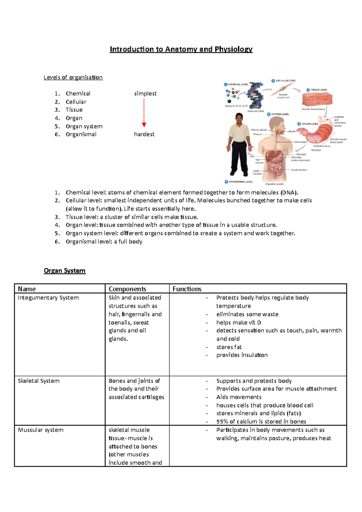 Introduction to Anatomy and Physiology - Cellular level: smallest ...