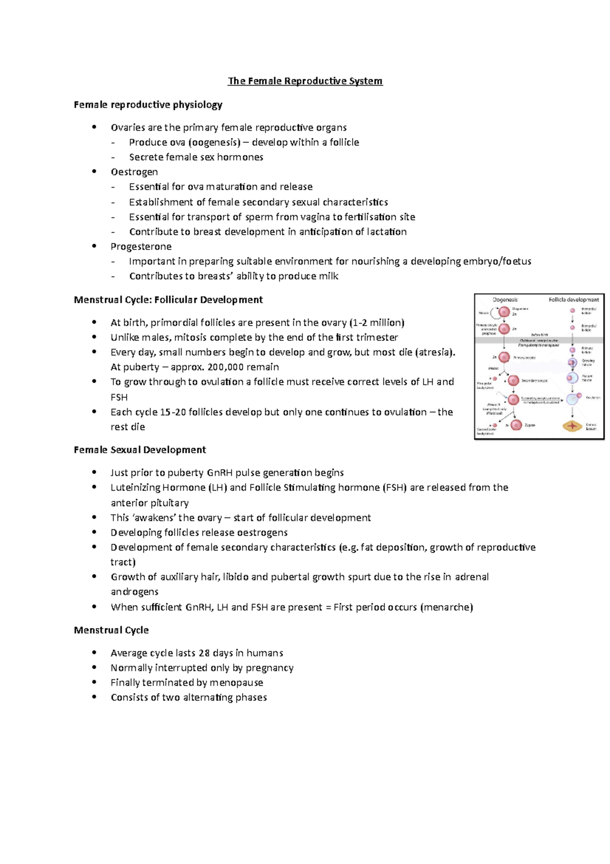 The Female Reproductive System - The Female Reproductive System Female ...
