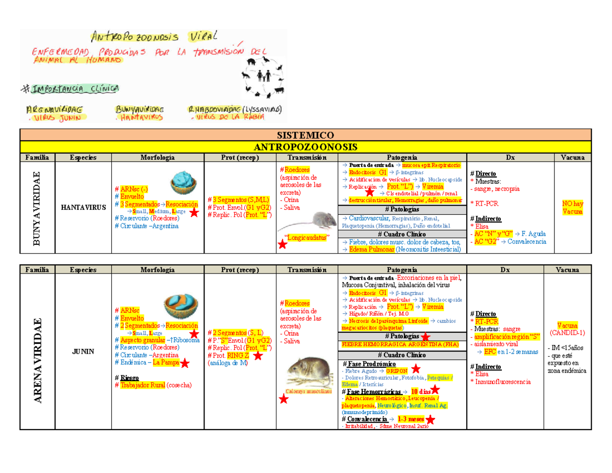 Virus Sistemico (Antropozoonosis) - SISTEMICO ANTROPOZOONOSIS Familia ...