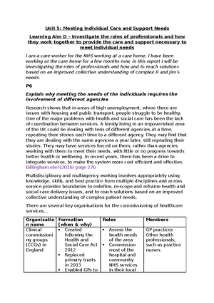 Unit 8 Promoting Public Health Learning Aim B - Pearson BTEC Unit 8 ...