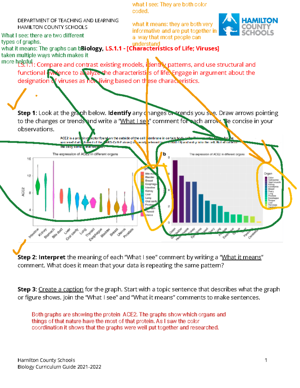 LS1.1 Bio Graph Characteristics of Life, Viruses - DEPARTMENT OF ...