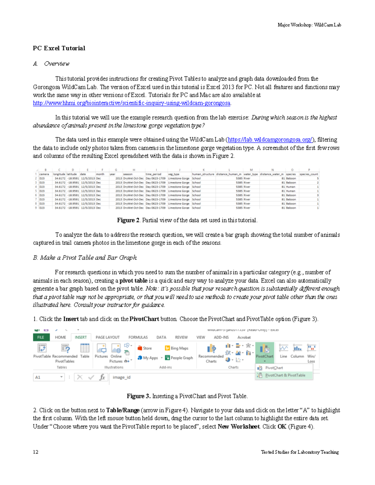 Pivot Table Tutorial - Major Workshop: WildCam Lab 12 Tested Studies ...