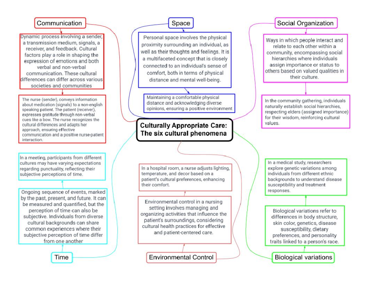 Mental Map Six cultural phenomena - NUR 505 - Studocu