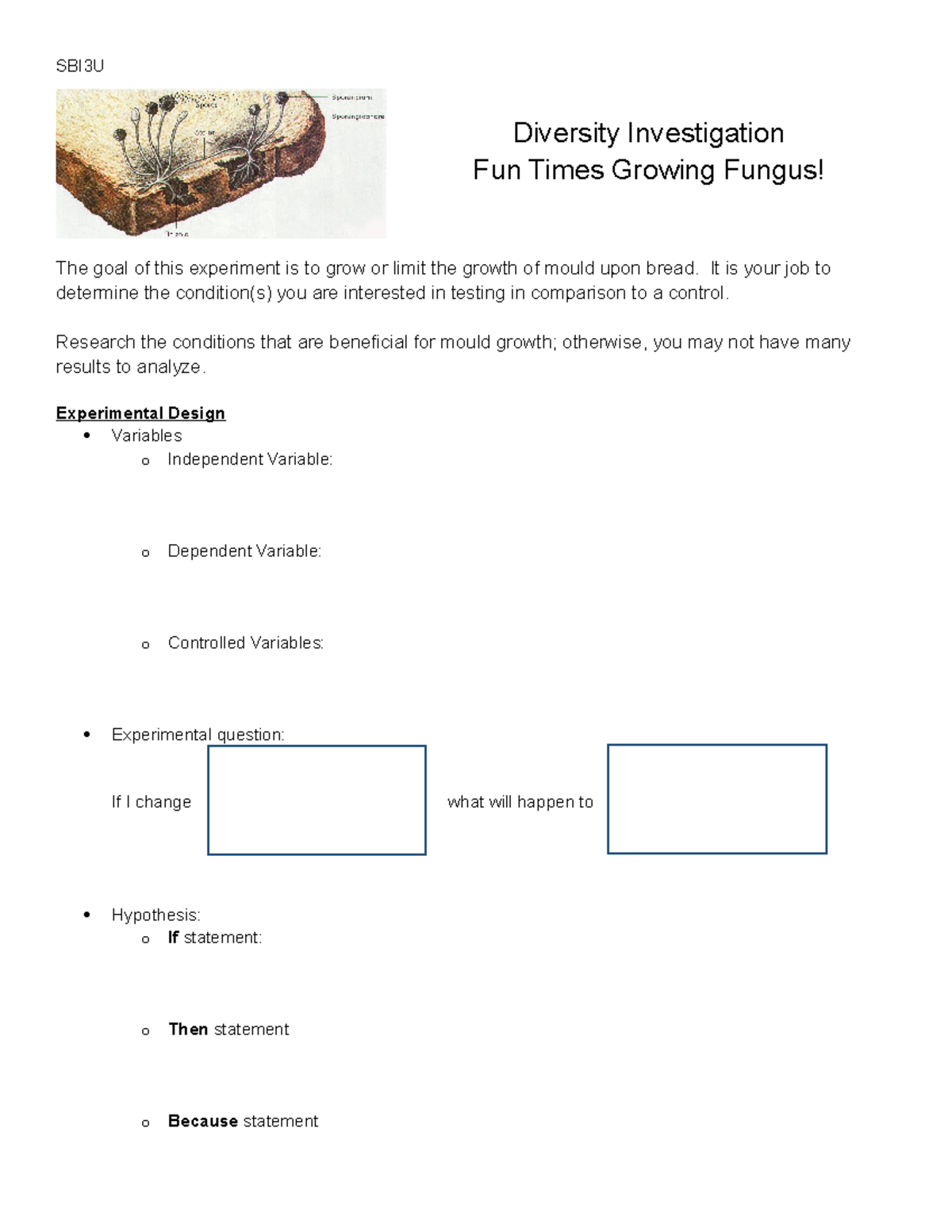Project - Fungus Growth - Rubric Only - BIO101 - Yorku - Studocu