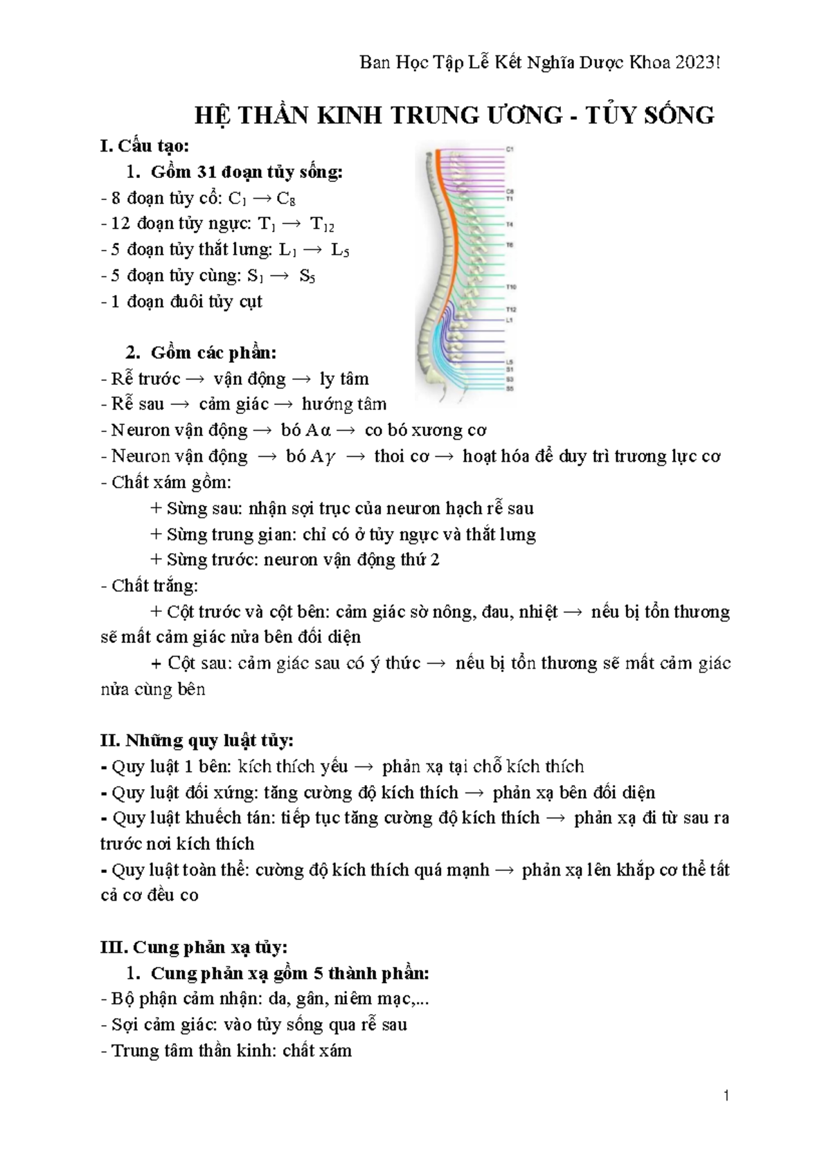 HỆ THẦN KINH Trung ƯƠNG - TỦY SỐNG - HỆ THẦN KINH TRUNG ƯƠNG - TỦY SỐNG ...