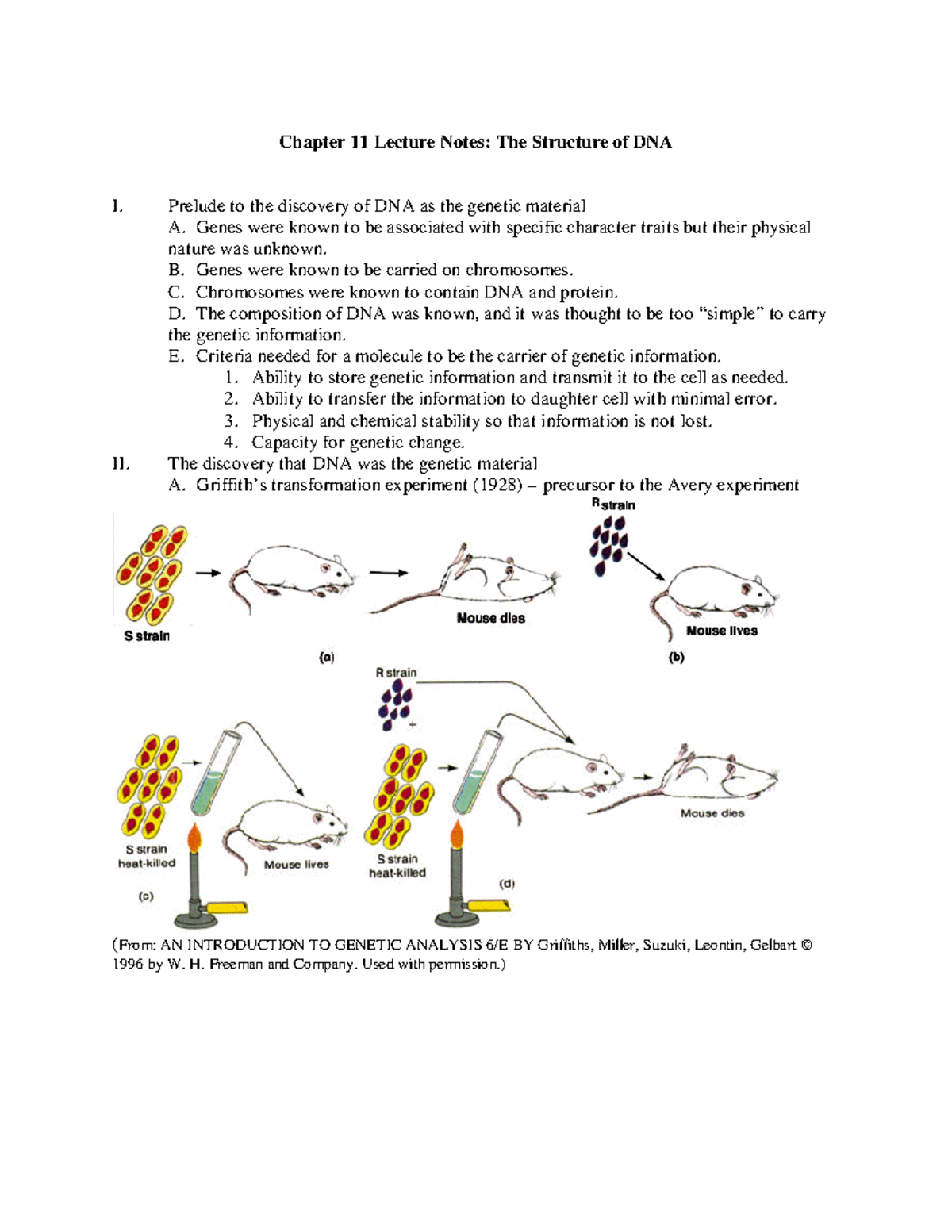 Structure of DNA - Prelude to the discovery of DNA as the genetic ...
