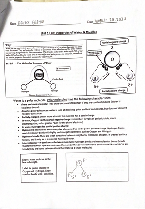 BIO 233 exam two guide - KYWHITE FA BIO 233 Exam Two Guide Tissues Name ...