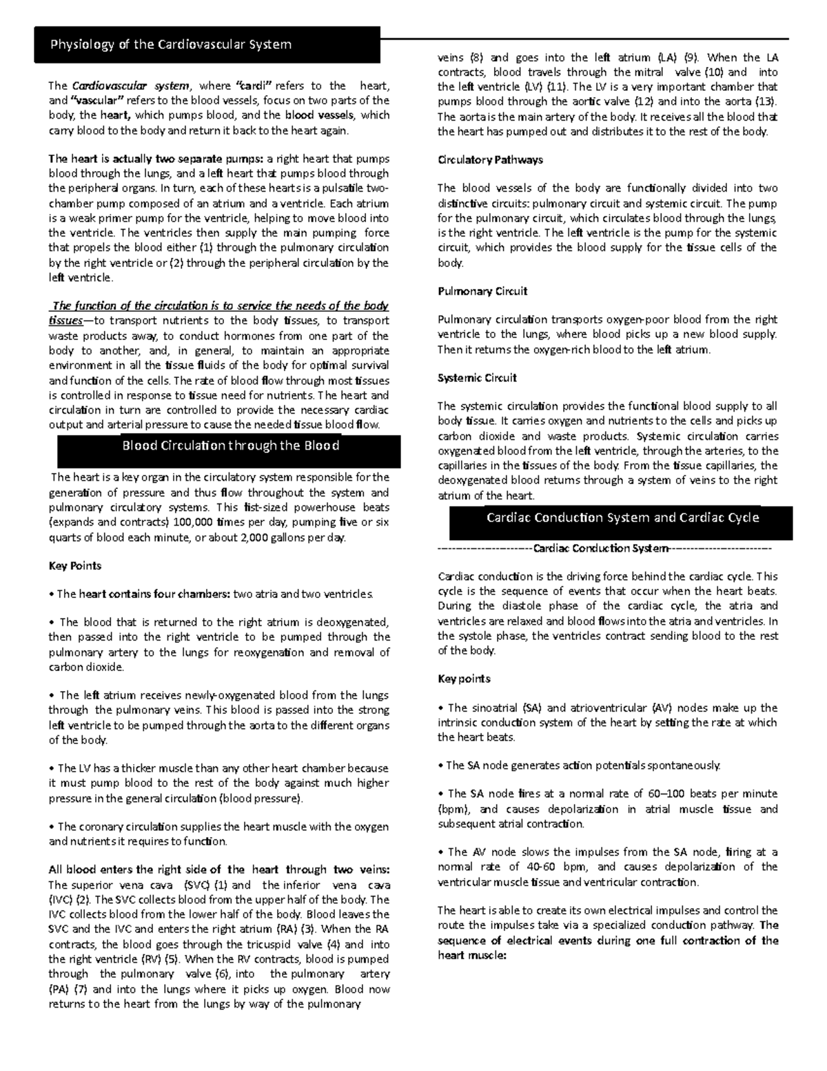 Physiology Notes - Blood Circulation through the Blood Cardiac ...