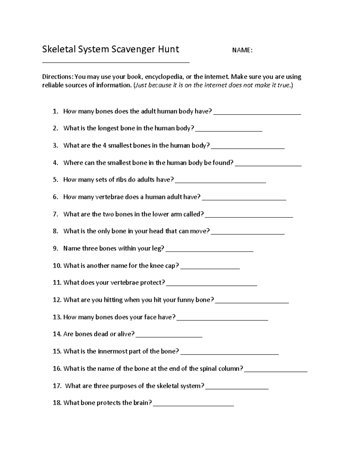 Bones Scavenger Hunt - abcdefghijklmnopqrstuvwxyz - Skeletal System ...