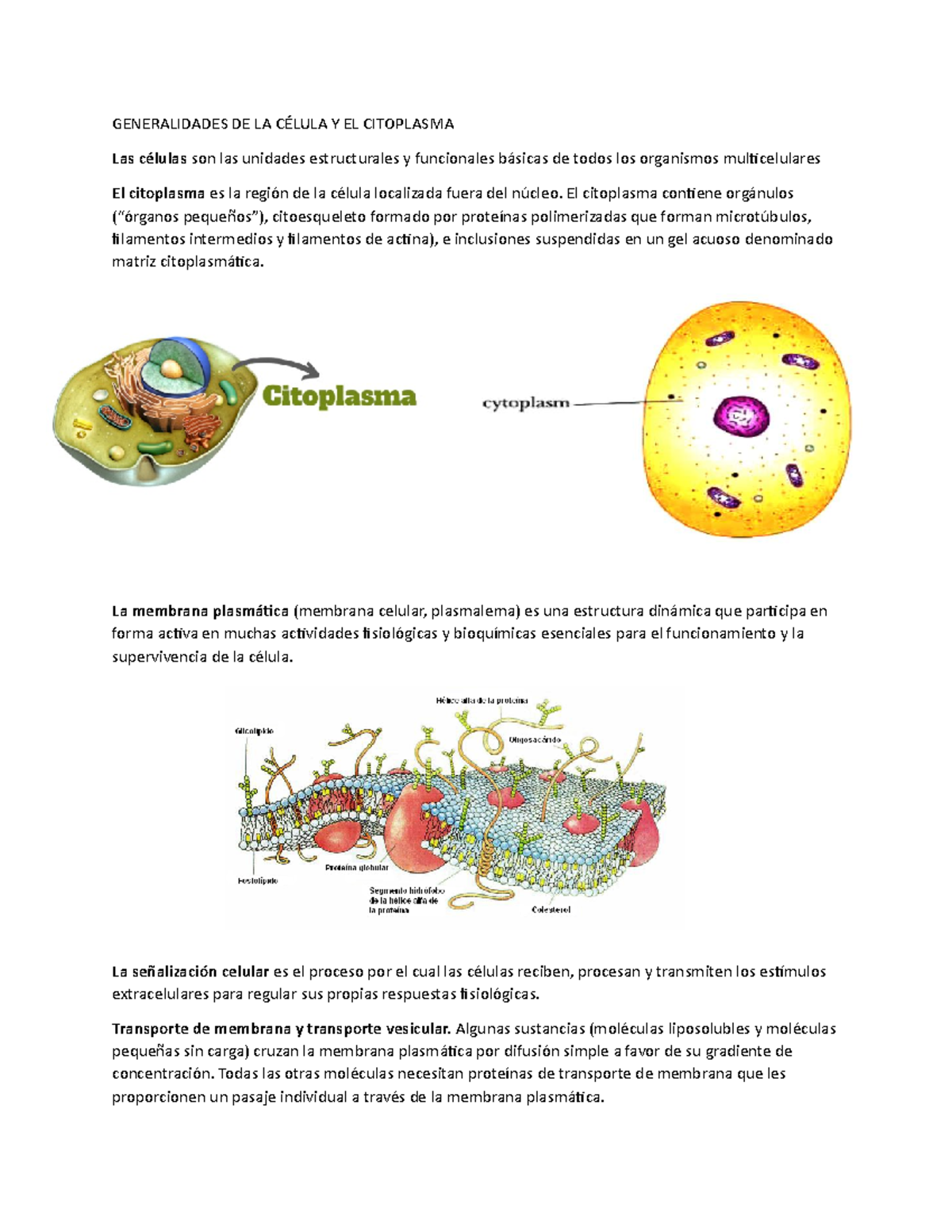 Generalidades DE LA Célula Y EL Citoplasma - GENERALIDADES DE LA CÉLULA ...