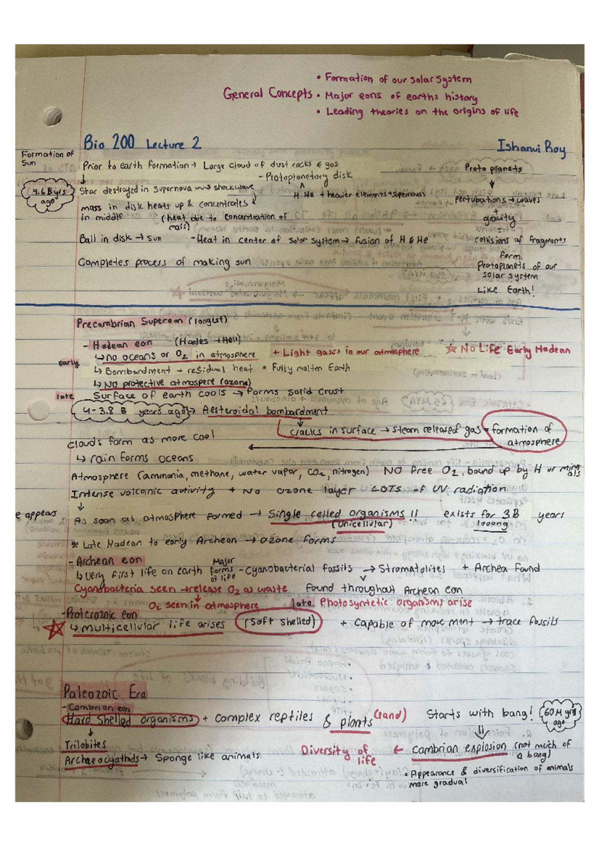 Bio200Lecture 2 - Bio200 Lecture 2 notes - Formation of our solar ...