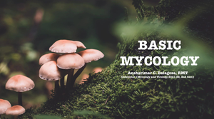 Monospot- Latex - MONOSPOT LATEX INTENDED USE MONOSPOT Latex is a one ...