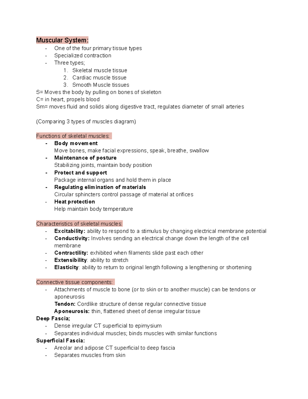 Unit 3- AP - AP lecture notes - Muscular System: One of the four ...