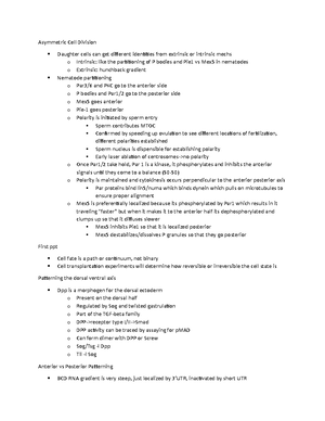 Dev Bio (1st half of semester) - Lecture 1: overview Cell Fate ...
