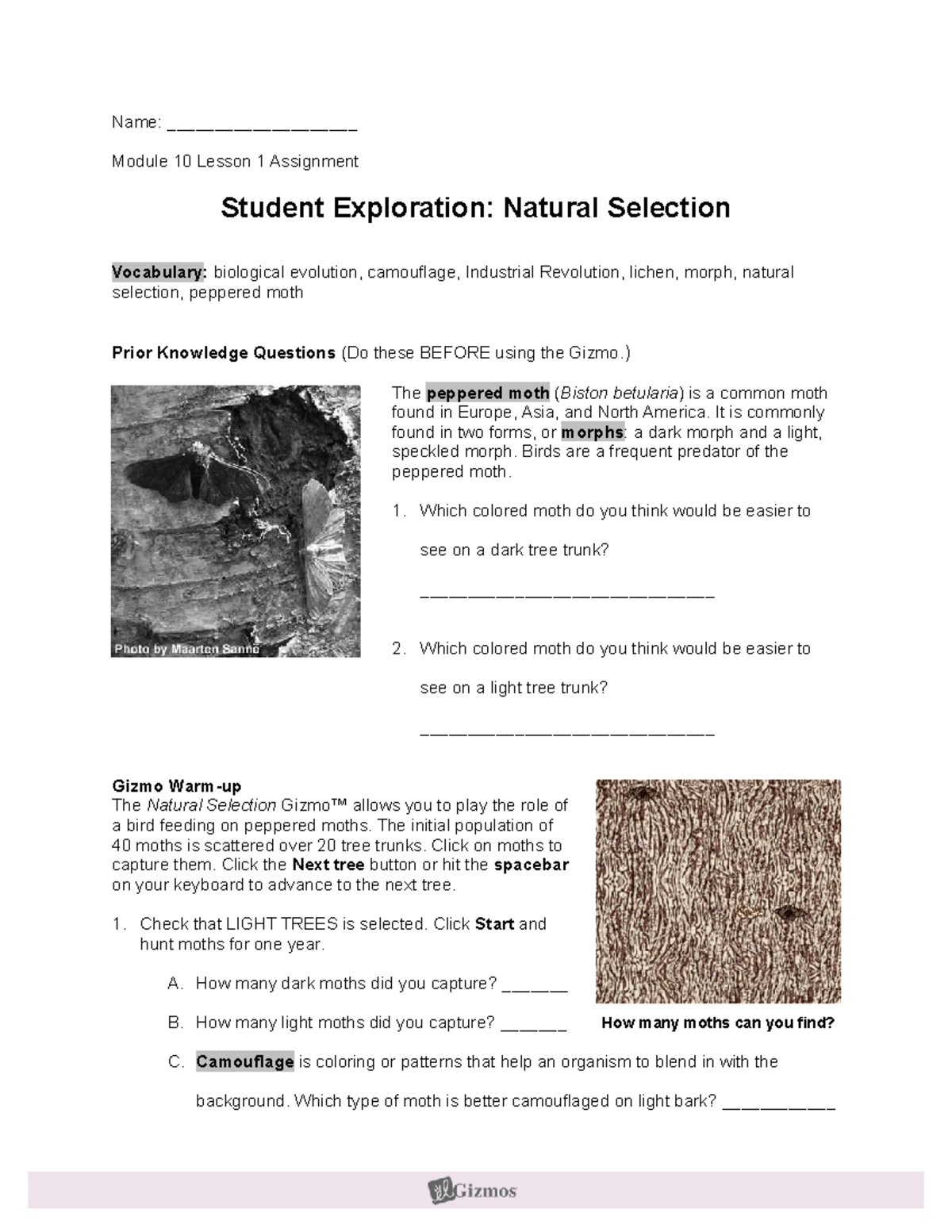 Module 10 Lesson 1 Assignment - Name: ____________________ Module 10 ...