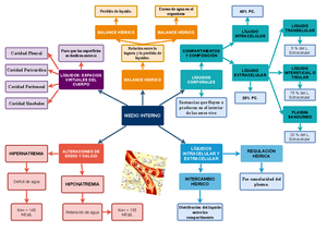 Farmacocinética de la NorAdrenalina aspectos importantes a considerar ...