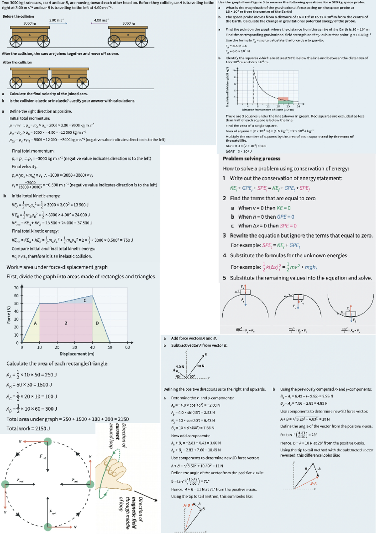 1st exam summary sheet - MacKillop College - Studocu