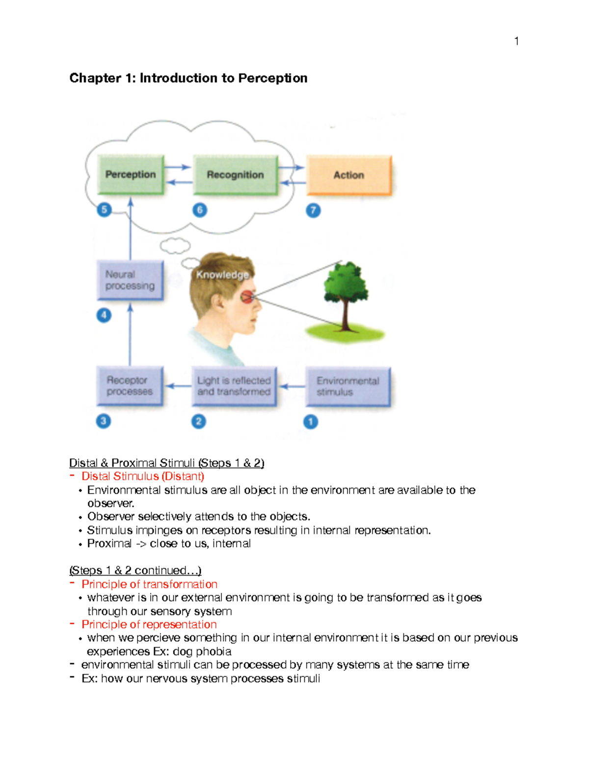 Sensation & Perception Notes (psyc 369) PDF - Chapter 1: Introduction ...