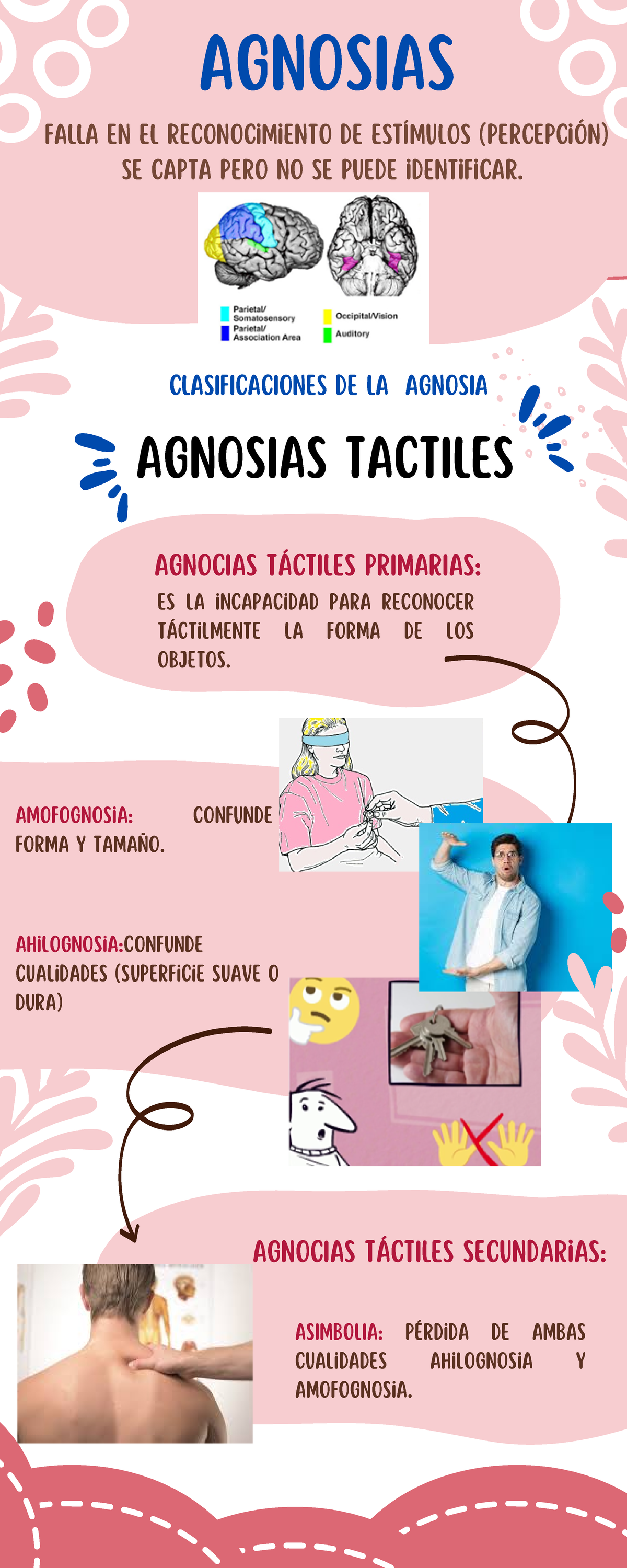 PA-2 Agnosias - triptico - AGNOSIAS CLASIFICACIONES DE LA AGNOSIA ...