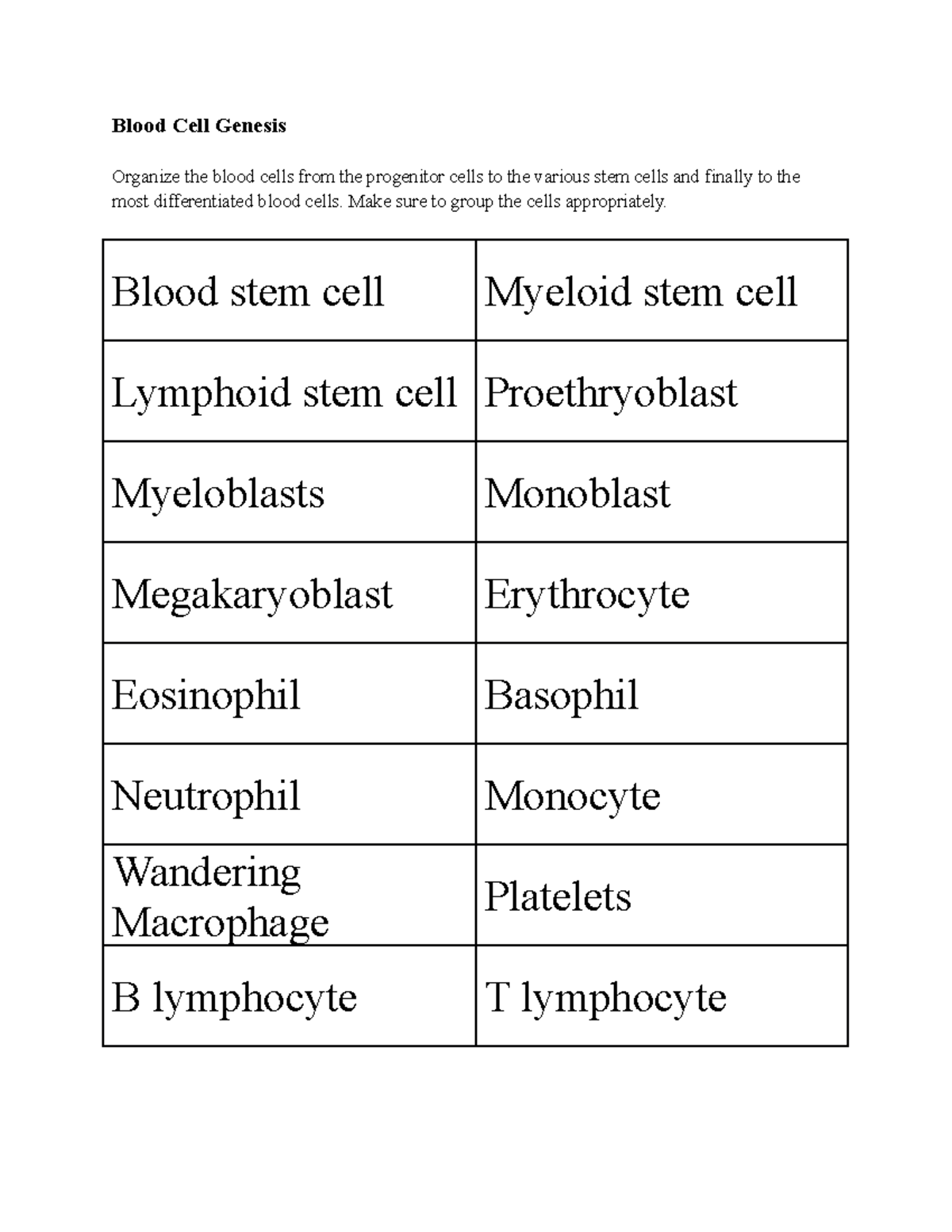 17 18 Blood and the Heart - Blood Cell Genesis Organize the blood cells ...