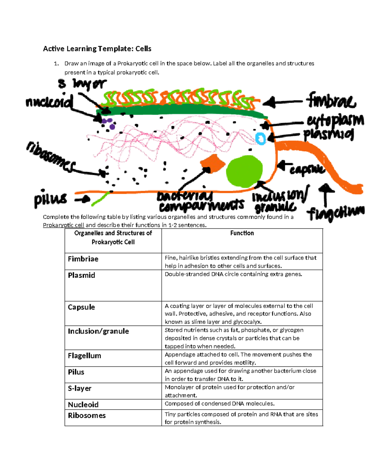 Week 2 Assignment - Week 2 Lab - Active Learning Template: Cells 1. Draw an image of a ...