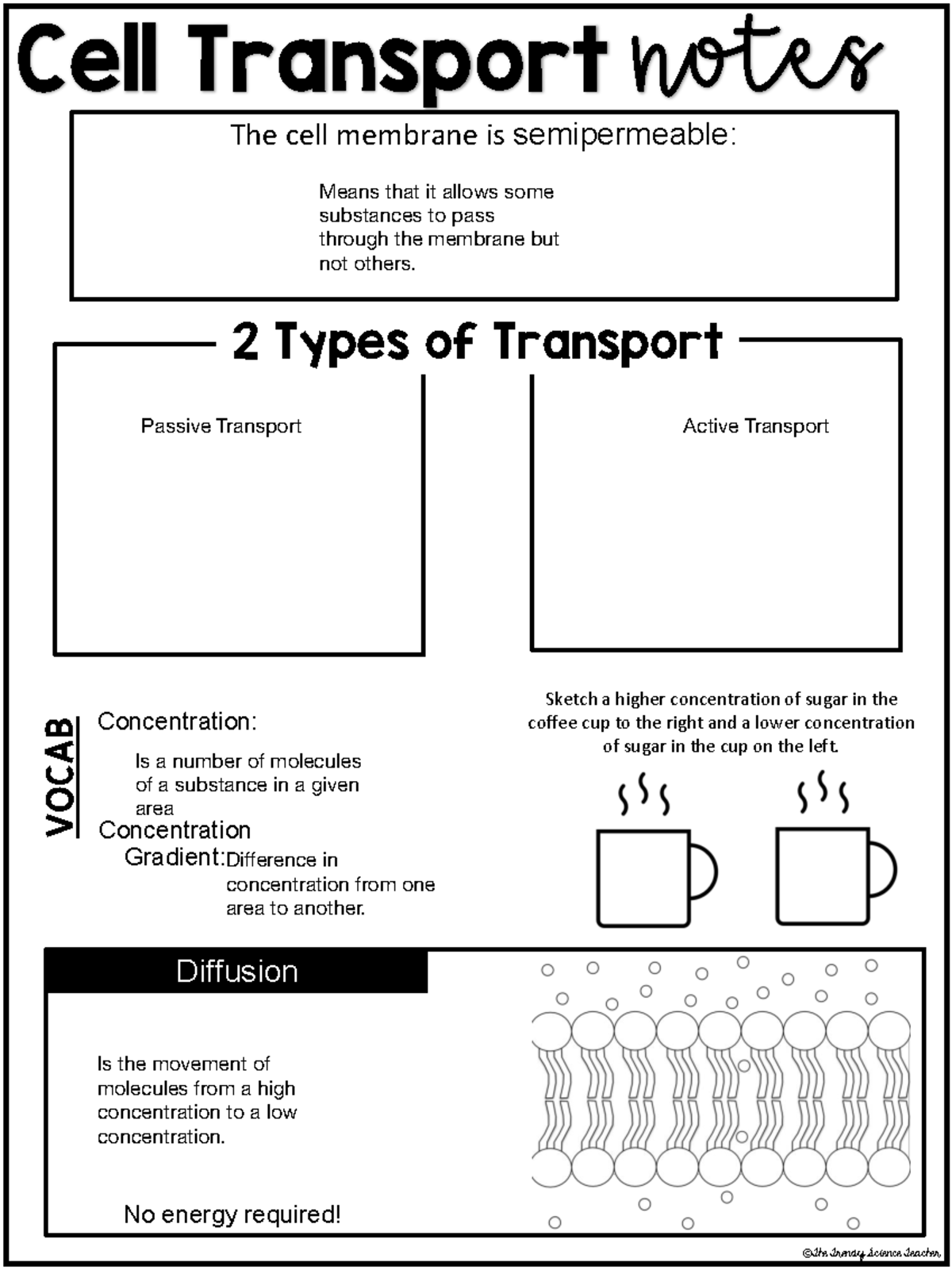 Cell Transport Notes - The cell membrane is semipermeable: 2 Types of ...