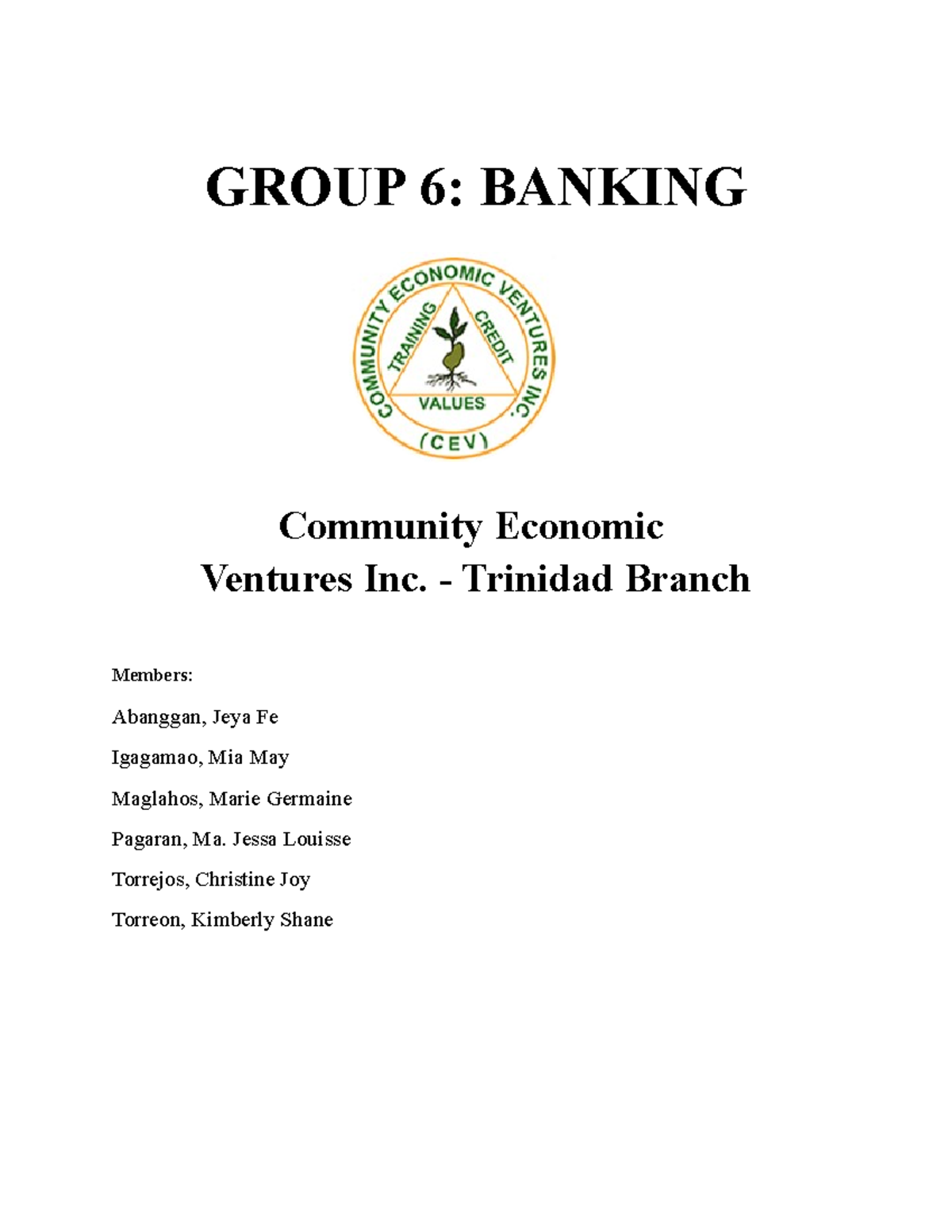 HBO: Group Case Study - GROUP 6: BANKING Community Economic Ventures ...
