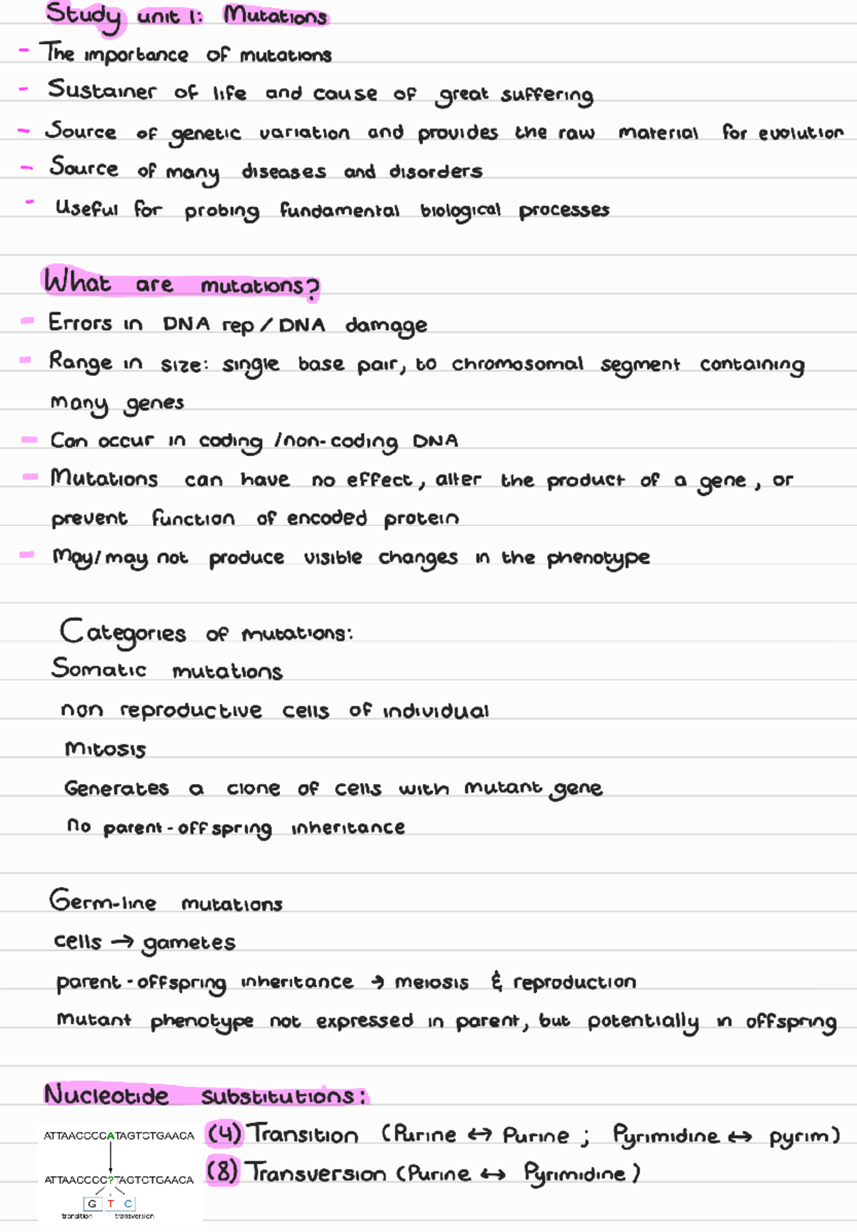 GTS 261 Notes 2 - Study unit 1: Mutations The importance of mutations ...