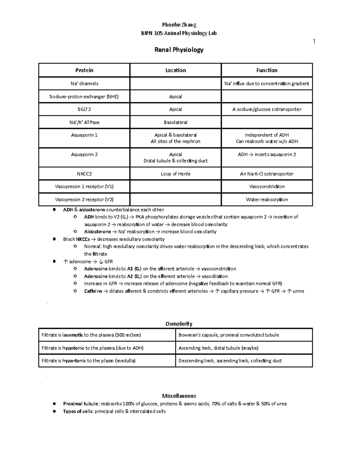 BIPN 105 Study Guide 10 Renal Physiology - Phoebe Zhang BIPN 105 Animal ...