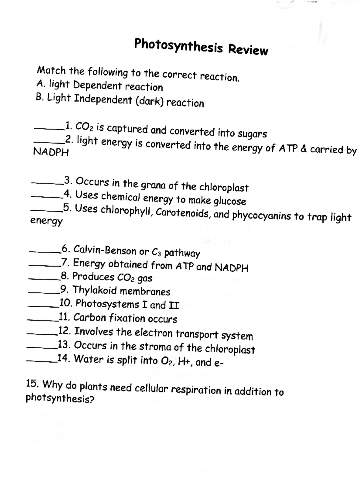 Photos and cr review 2020 - Photosynthesis Review Match the following ...