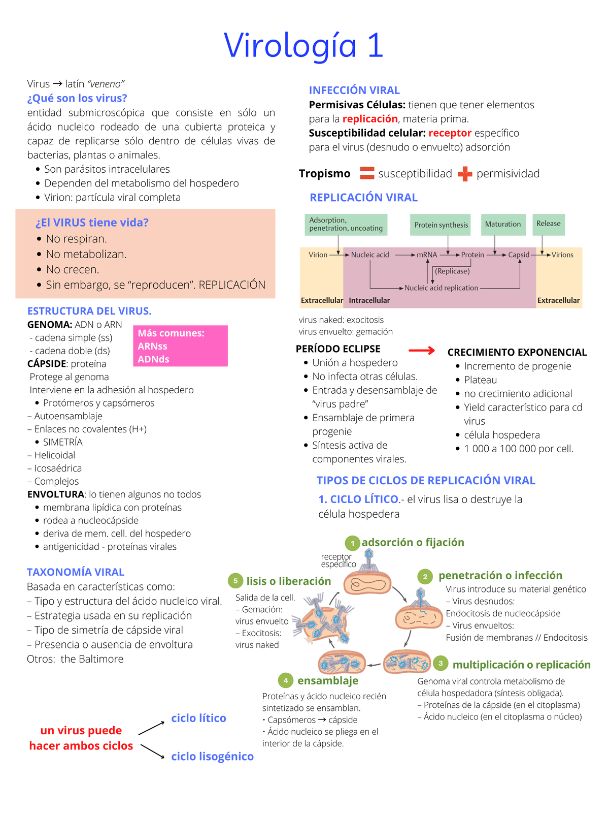 Virología 1 - apuntes generales del tema de virus - Unión a hospedero ...