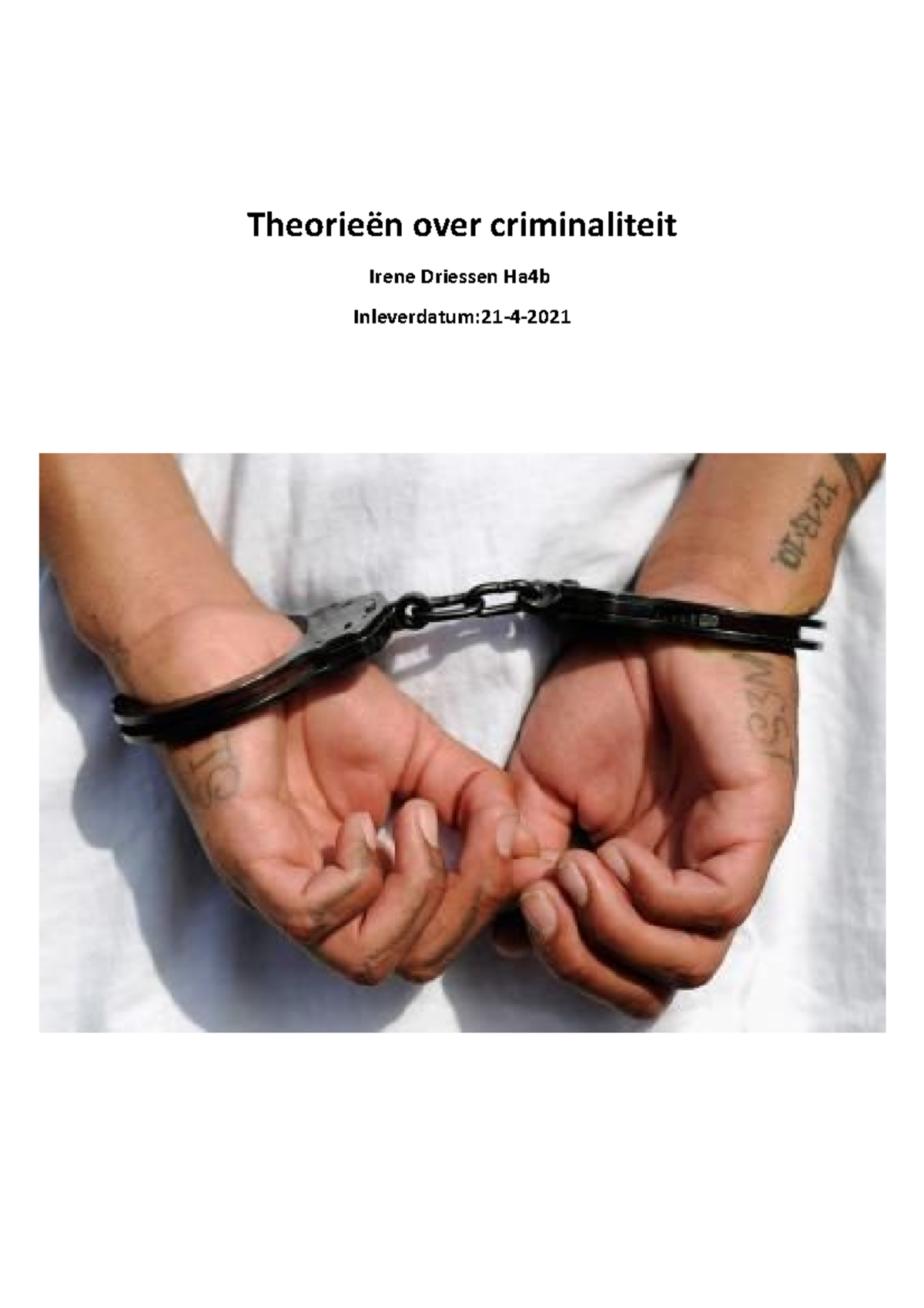 4.1 4.2 maw opdracht - sehuifbgseulbgls - Theorieën over criminaliteit ...