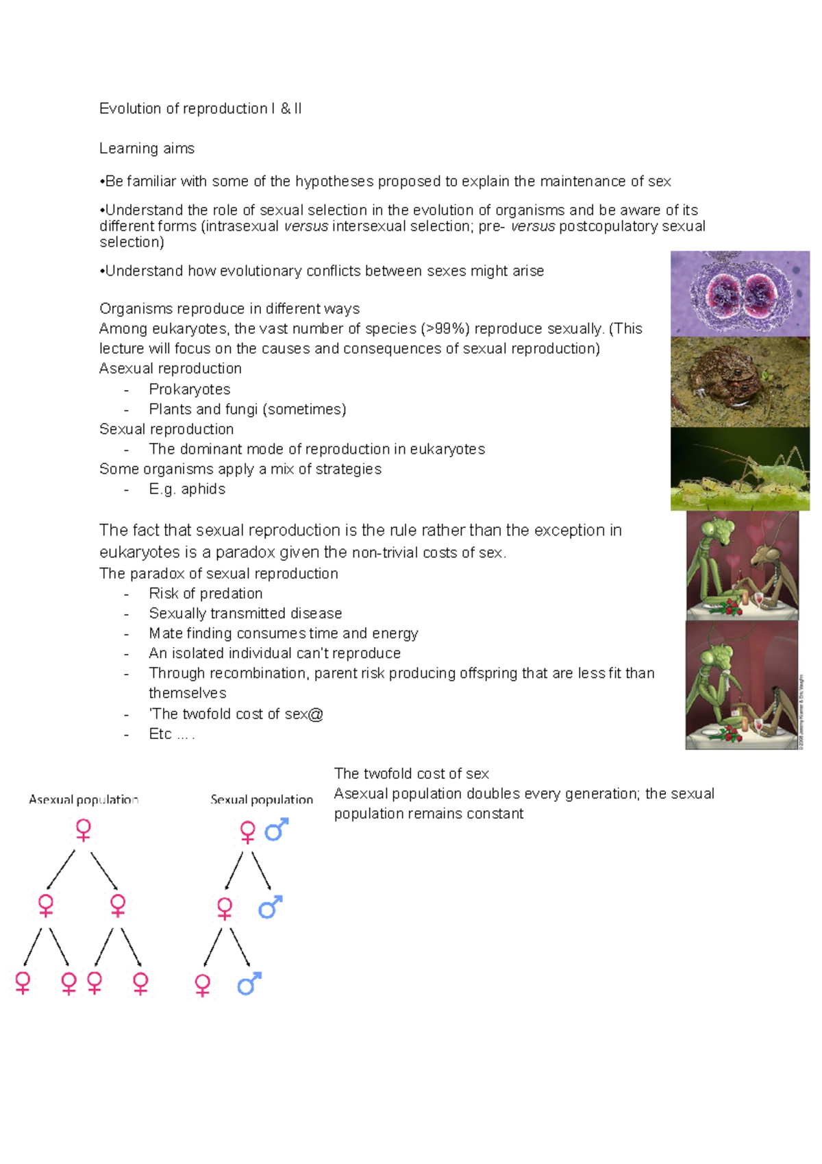 8. the evolution of reproduction - Evolution of reproduction I & II ...