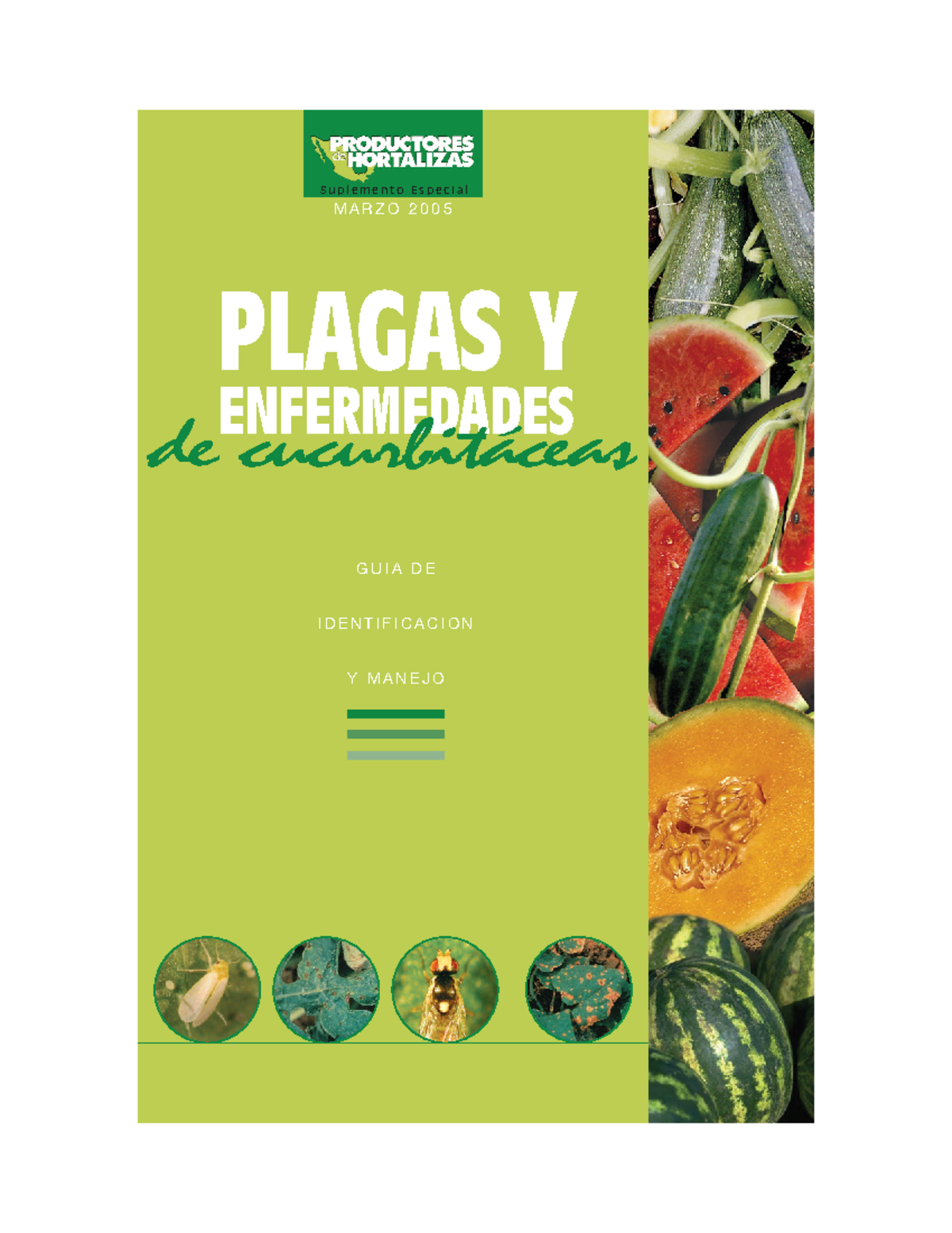 Manual plagas Cucurbits Spanish - PLAGAS Y ENFERMEDADES ####### G U I A ...