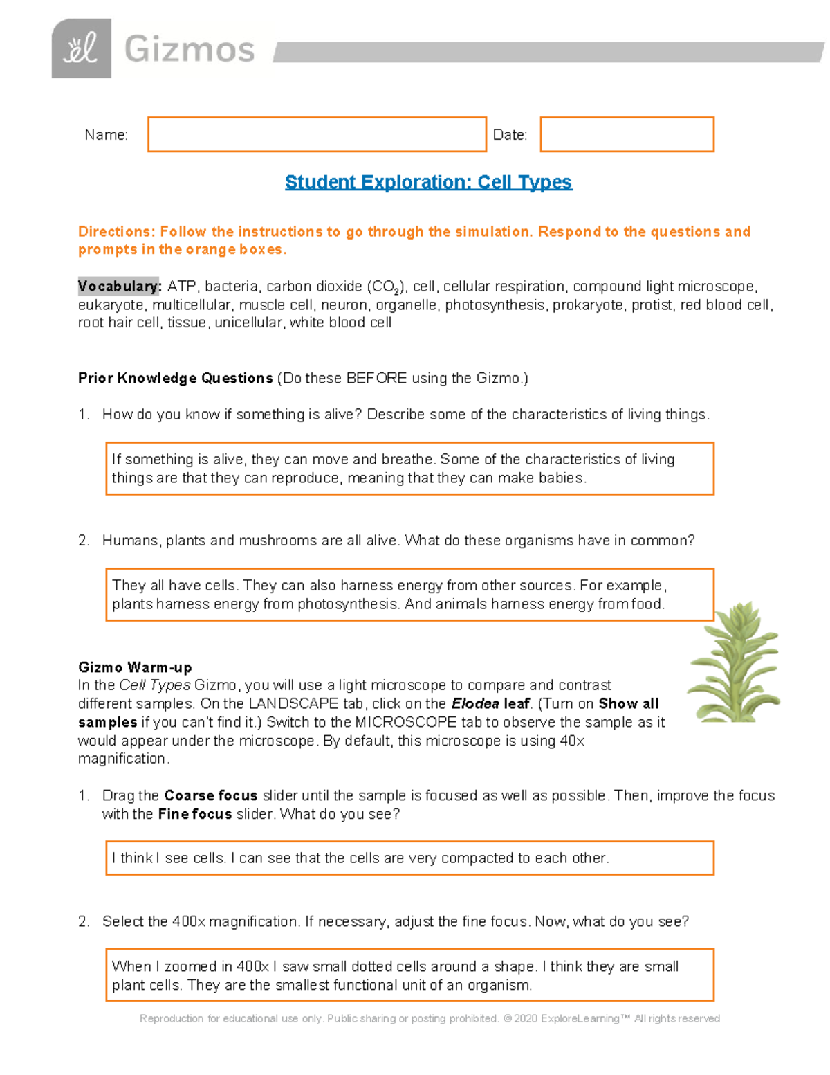 526163449 Cell Types SE Gizmos - Student Exploration: Cell Types ...