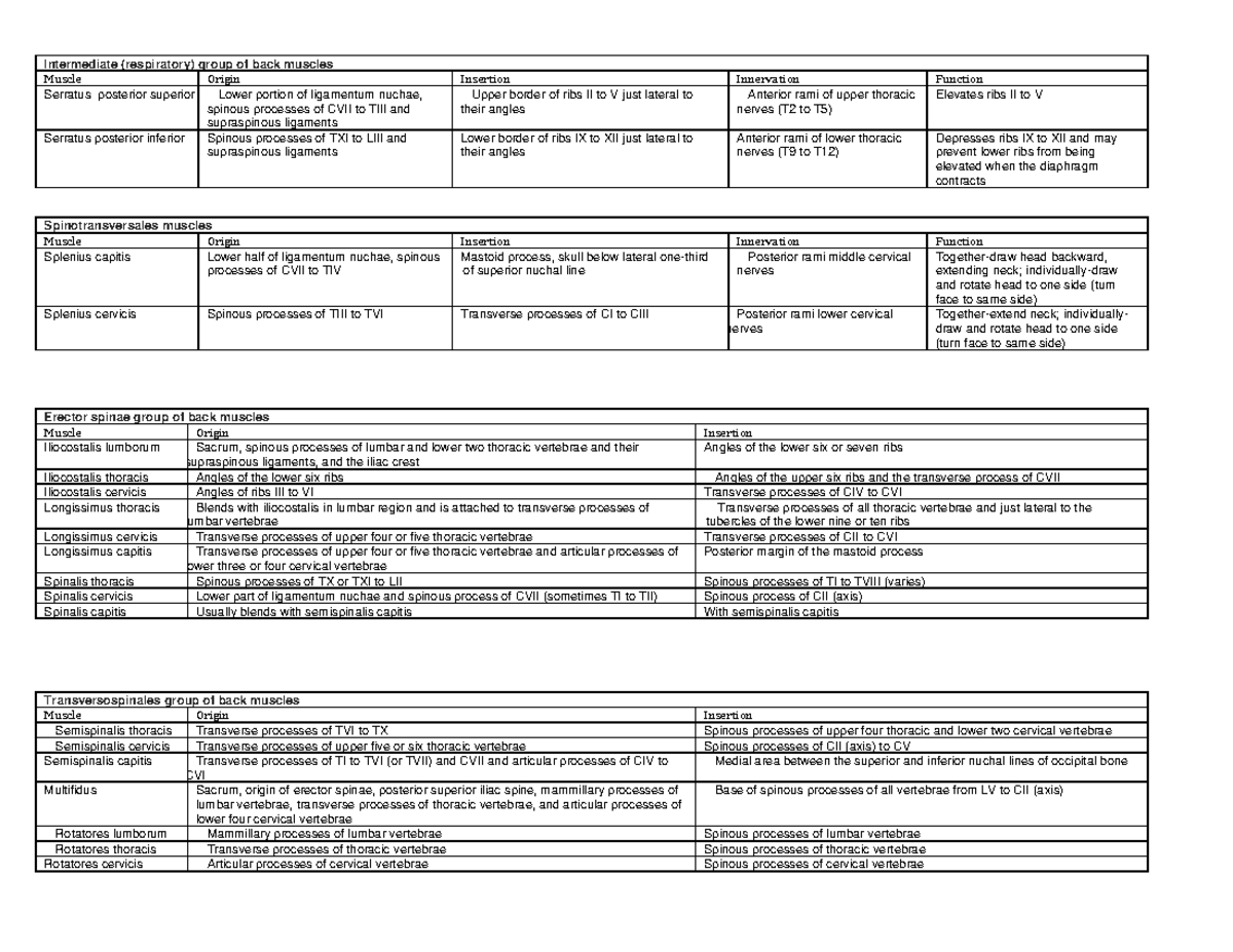 Muscles back - med - Intermediate (respiratory) group of back muscles ...