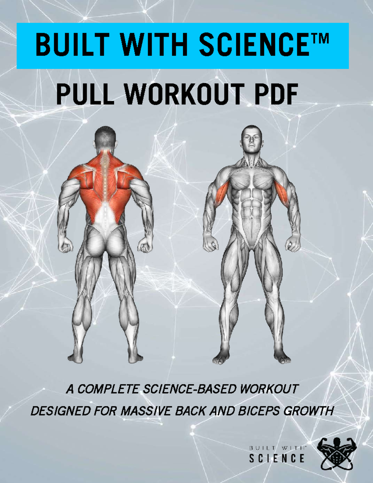 Built With Science Pull Workout PDF - A COMPLETE SCIENCE-BASED WORKOUT ...