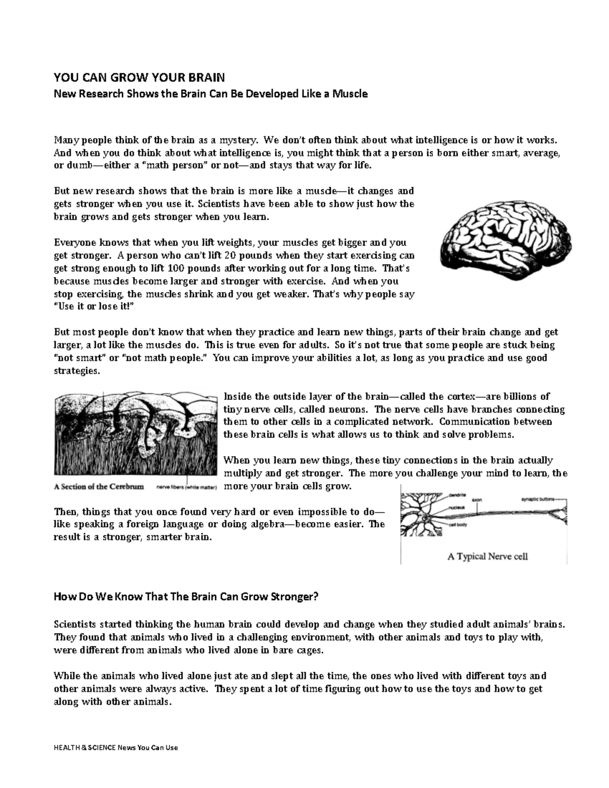 You can grow your brain 1 - HEALTH & SCIENCE News You Can Use YOU CAN ...