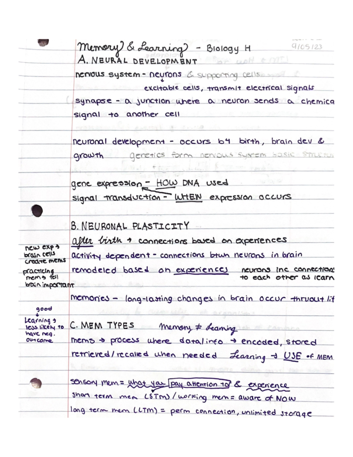 Memory and Learning - 01:119:115 - Studocu