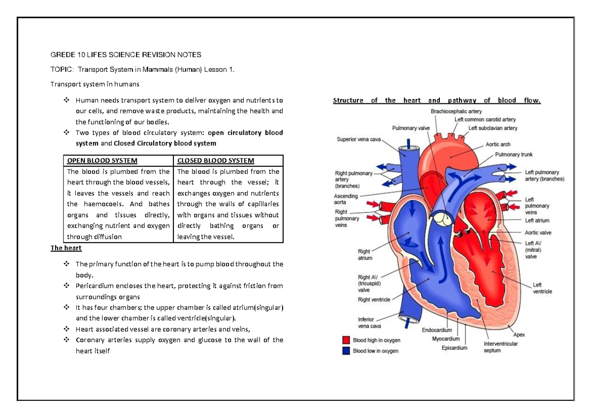 Gr10 lifesciences. lesson 1 summery - GREDE 10 LIFES SCIENCE REVISION ...