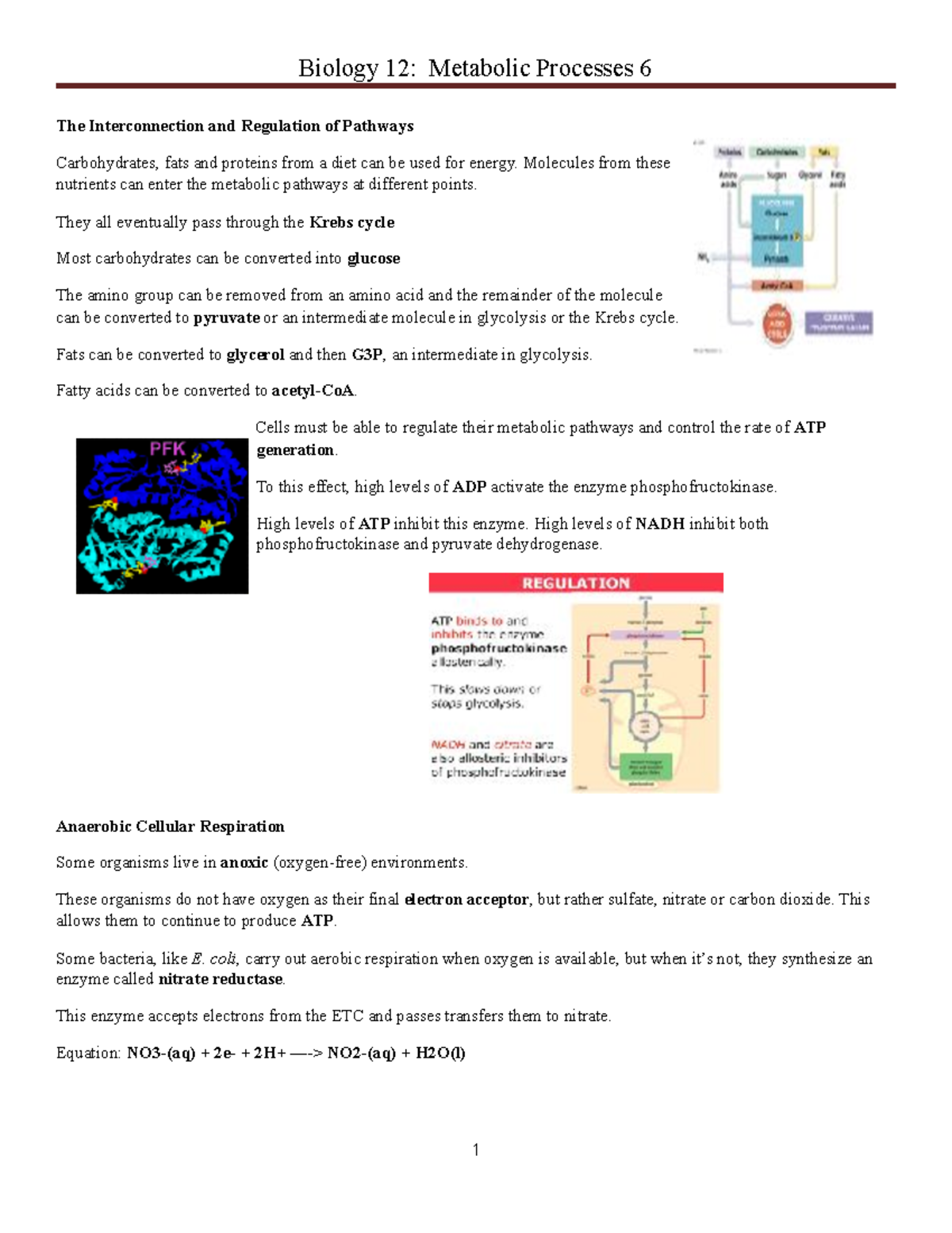 2019 Metabolic Processes Lesson 6 Student note - Biology 12: Metabolic ...