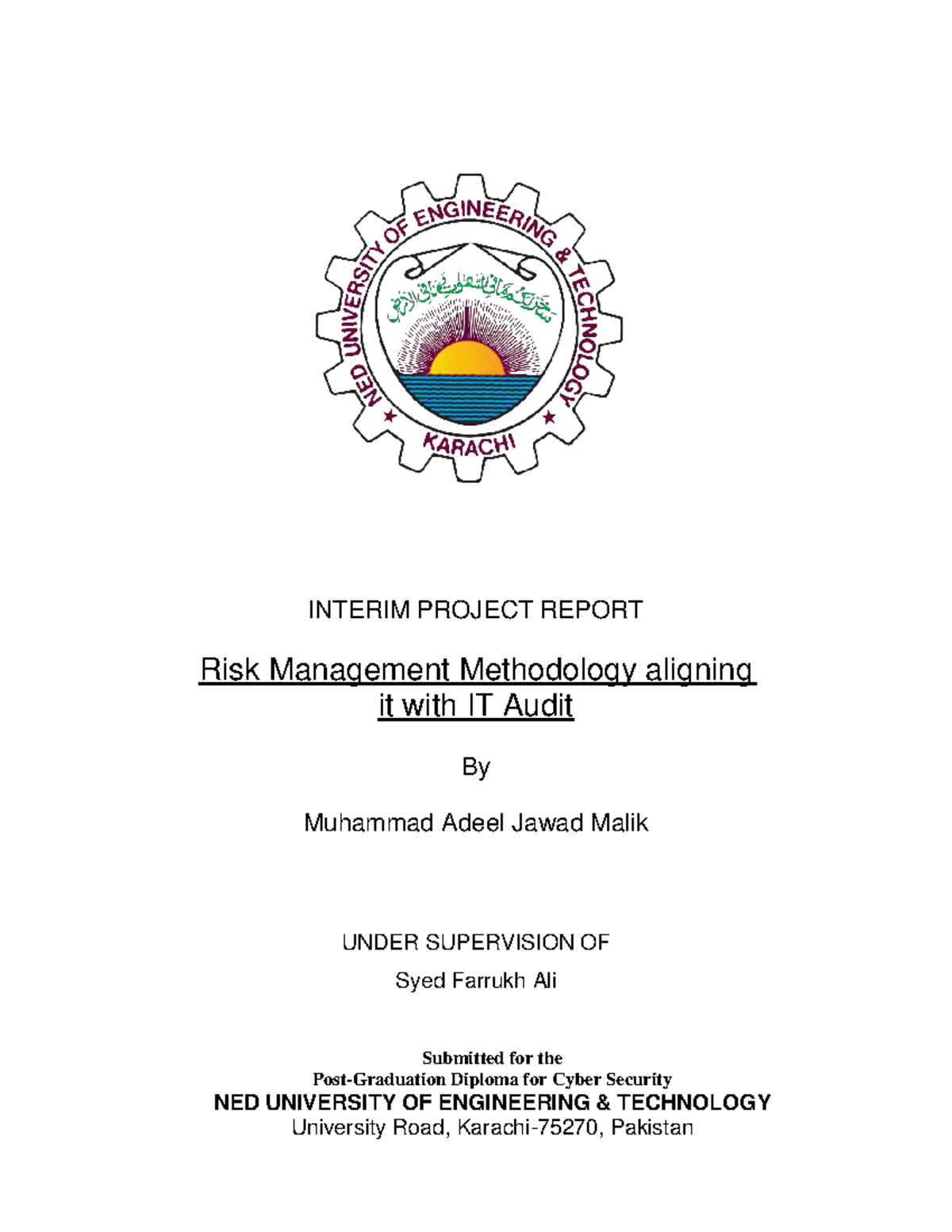 Project Thesis for NED - INTERIM PROJECT REPORT Risk Management ...