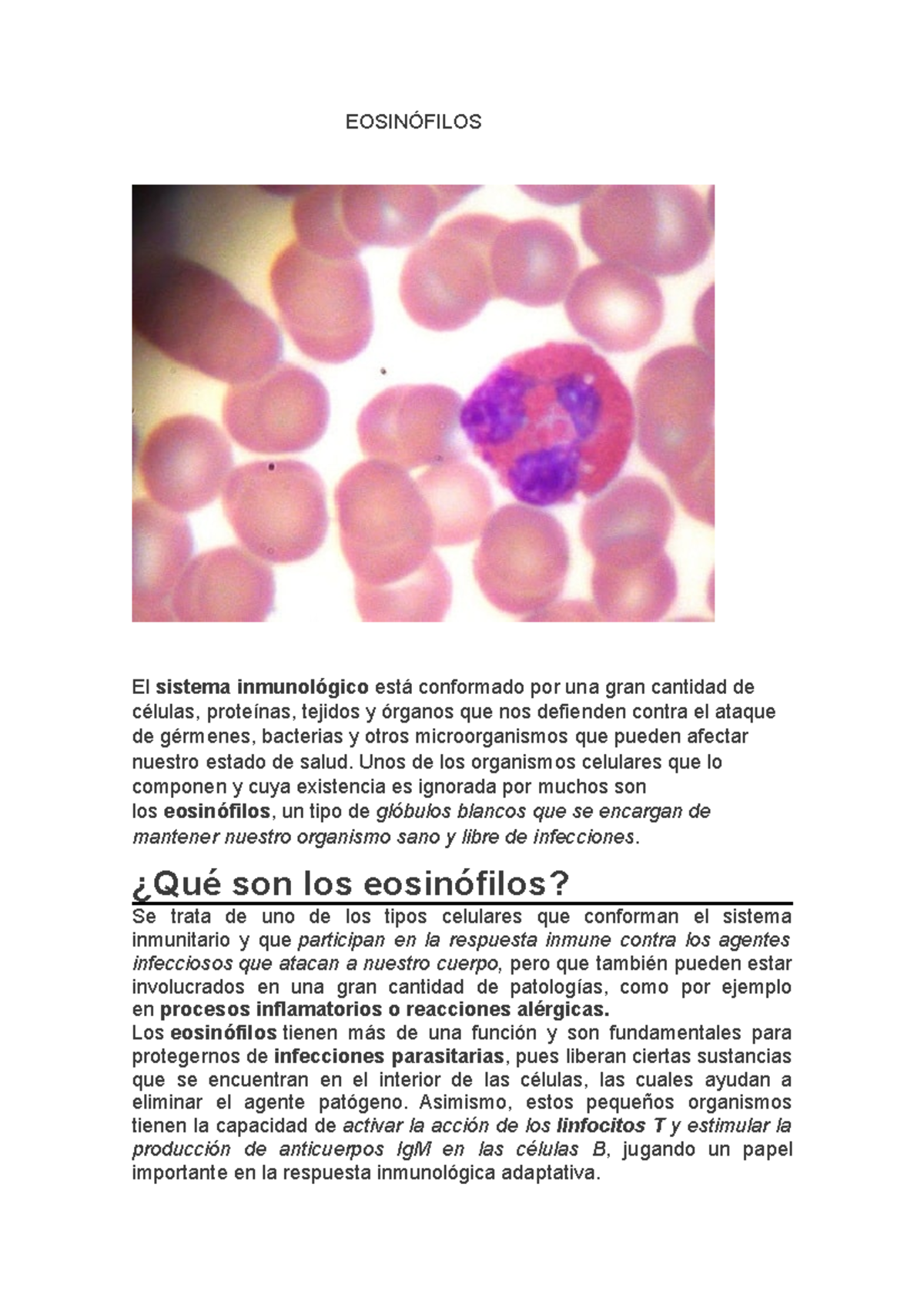 Eosinófilos - Un eosinófilo es un leucocito de tipo granulocito pequeño ...